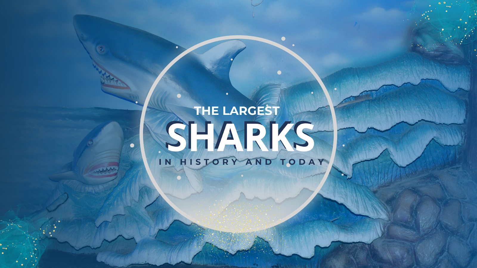 The Largest Sharks in History and Today