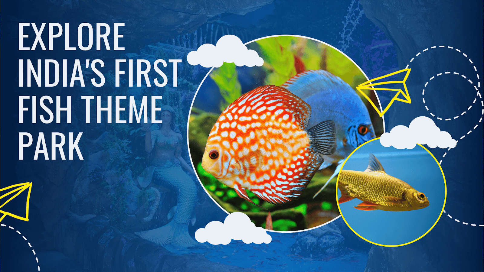 Top fish parks you must visit in 2025